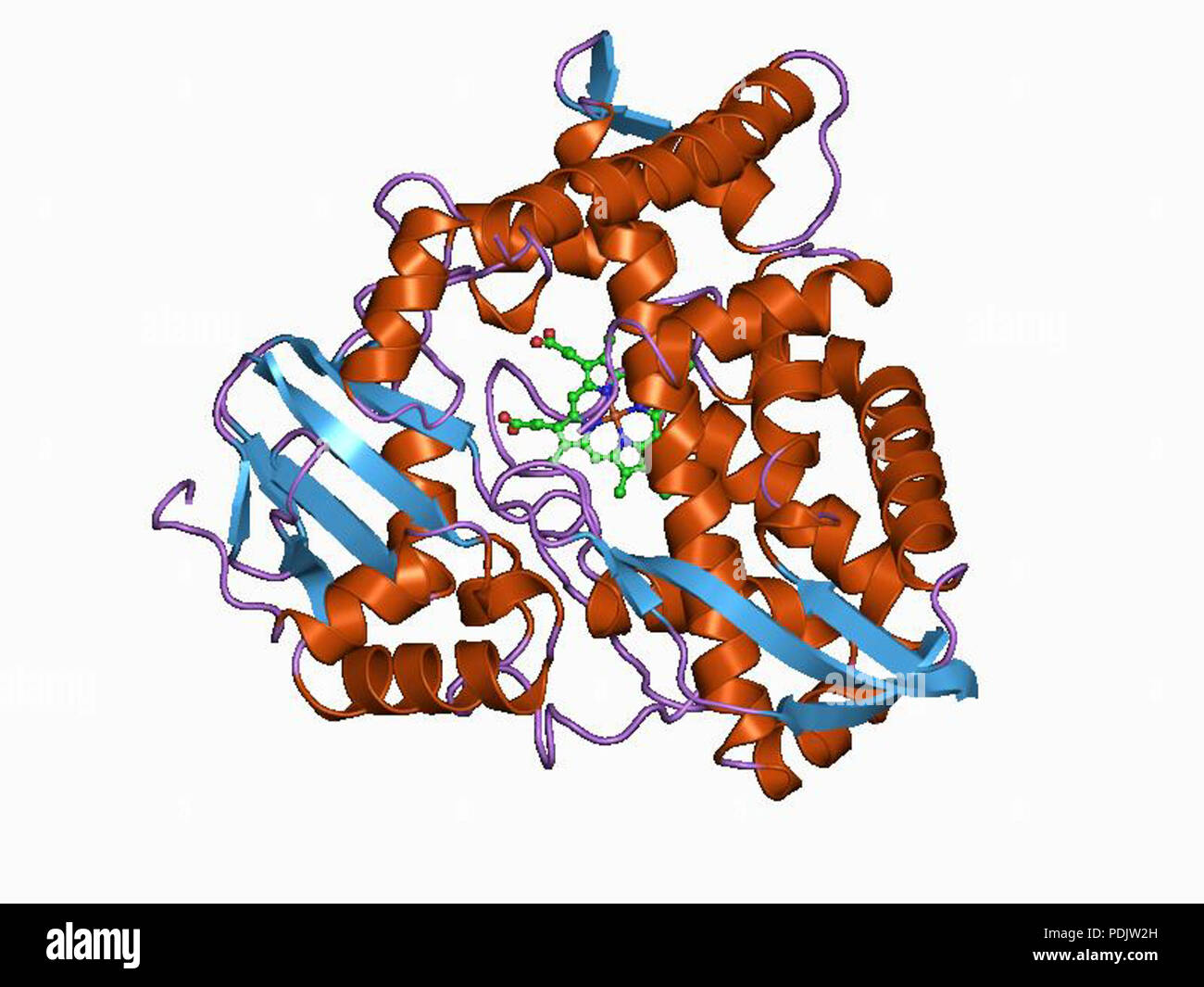 Army classification system hi-res stock photography and images - Alamy