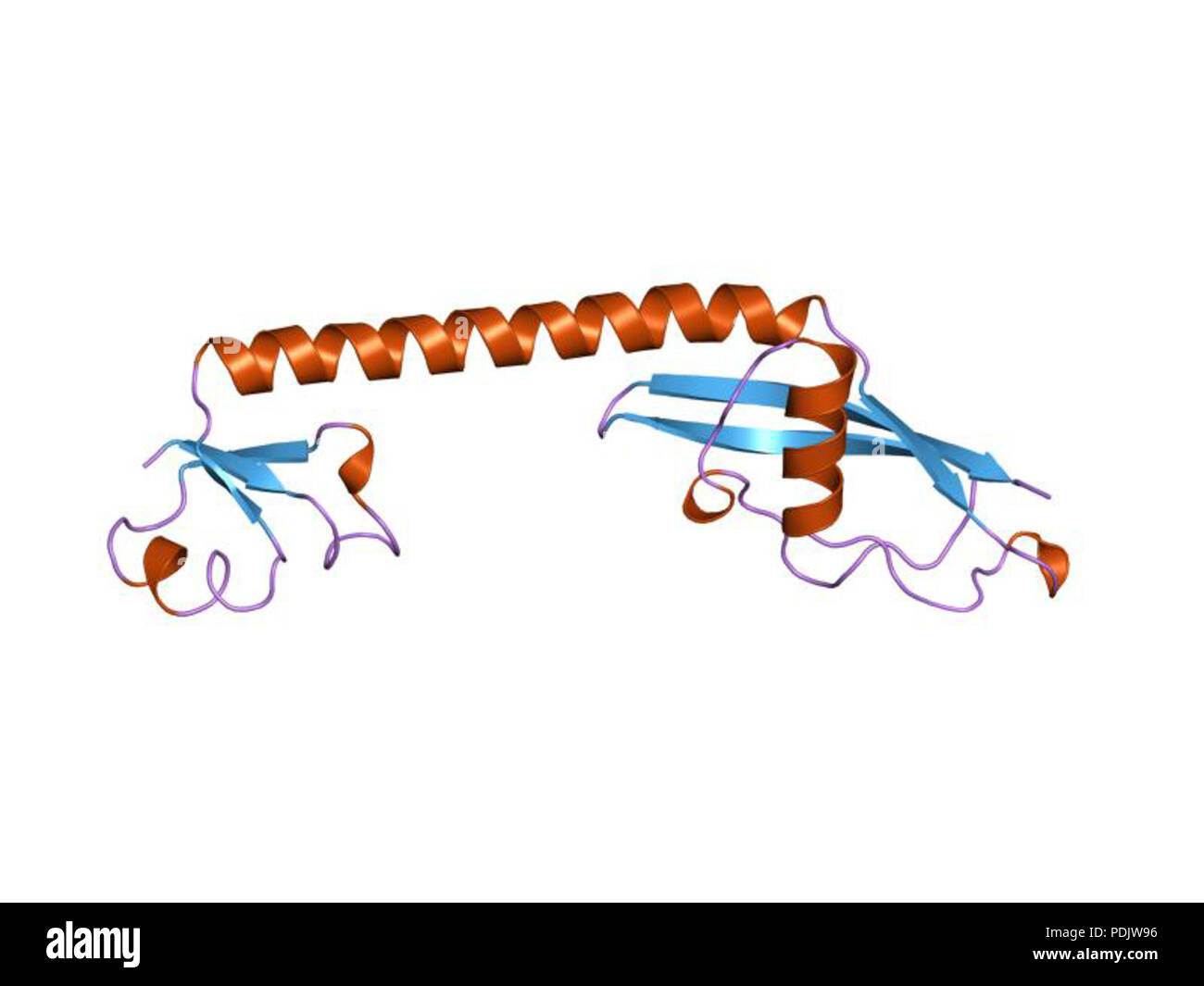 24 division Cut Out Stock Images & Pictures - Alamy