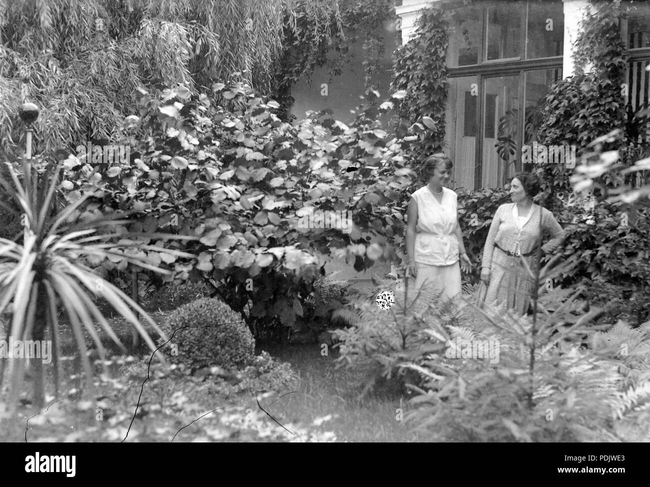 Green garden vintage Black and White Stock Photos & Images - Alamy
