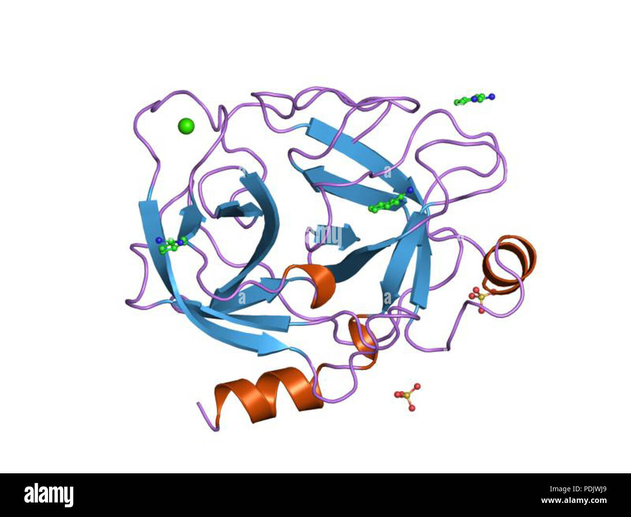 25 PDB 1dpo EBI Stock Photo - Alamy