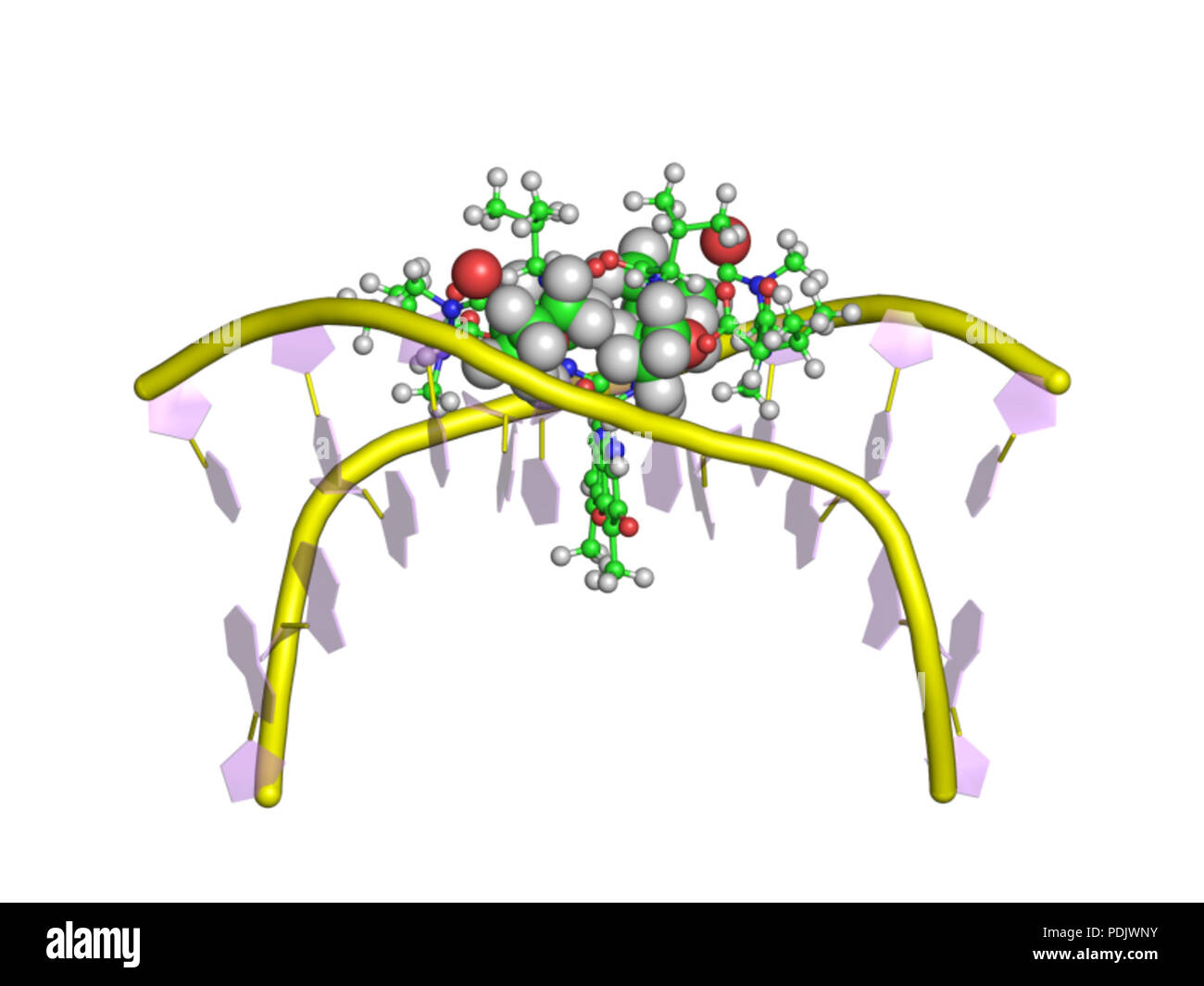 26 PDB 1dsc EBI Stock Photo - Alamy