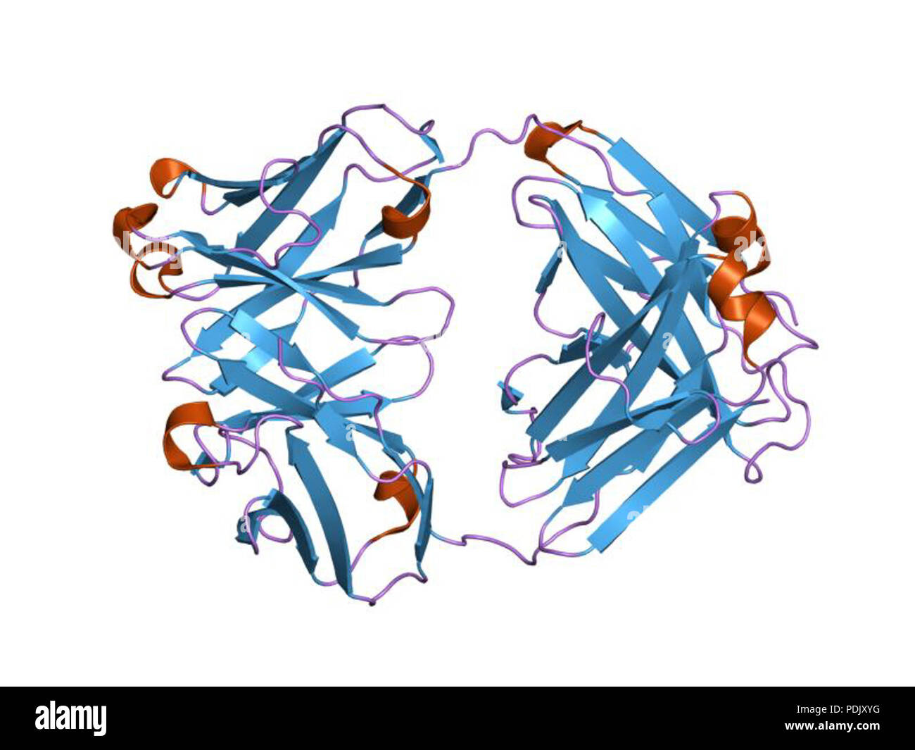 Number 34 Cut Out Stock Images & Pictures - Alamy