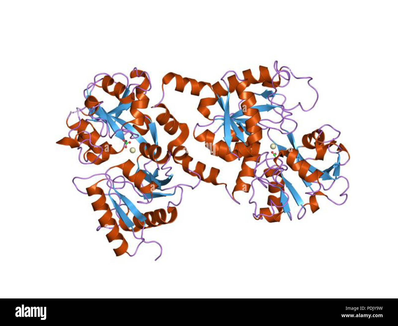 35 PDB 1fck EBI Stock Photo - Alamy
