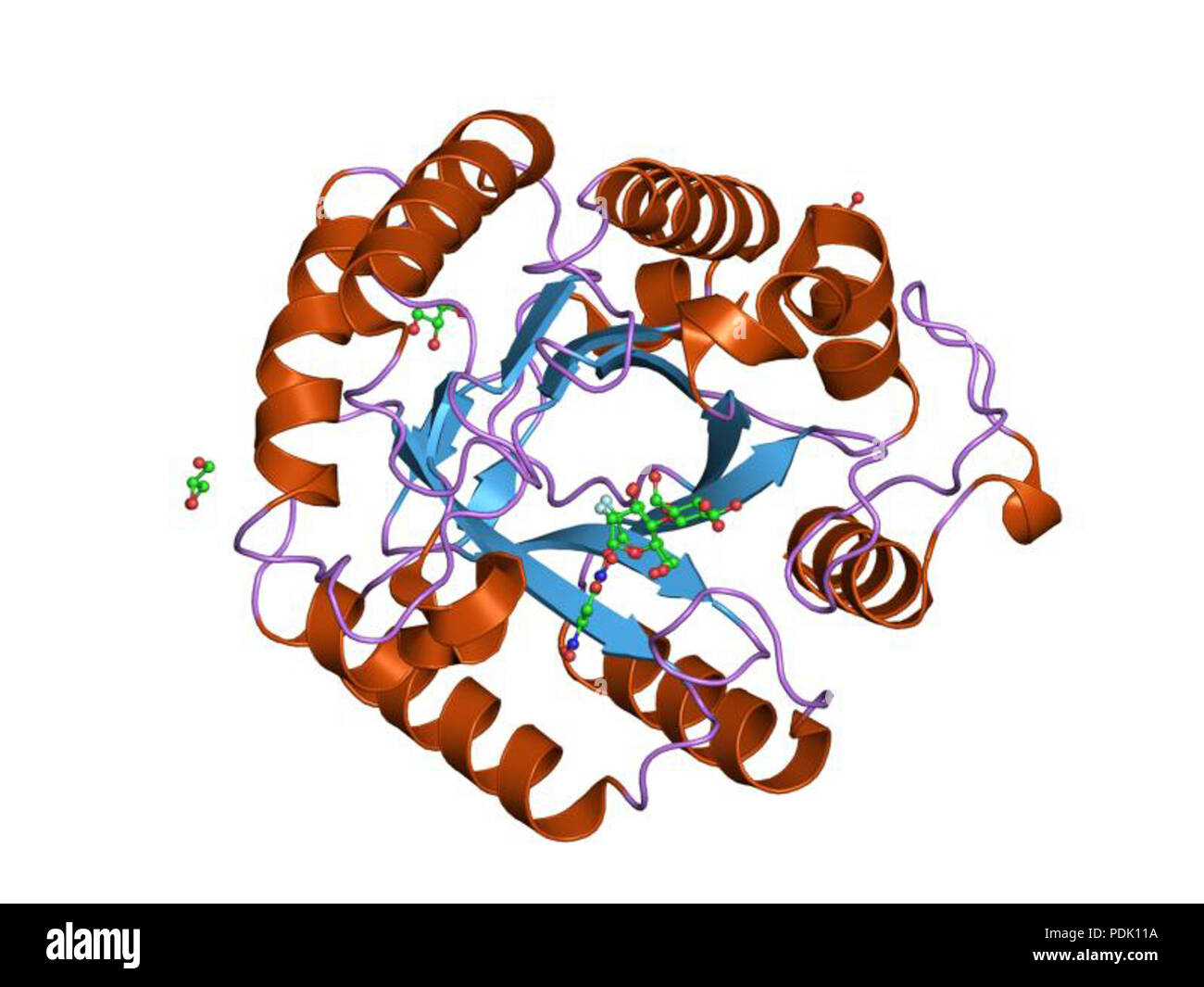 45 PDB 1h2j EBI Stock Photo - Alamy