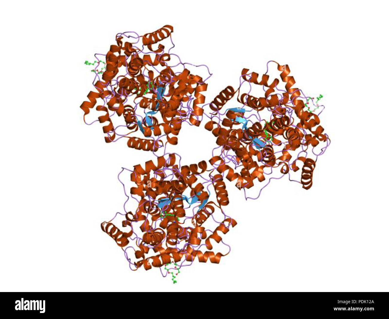 Protein deposit hi-res stock photography and images - Alamy