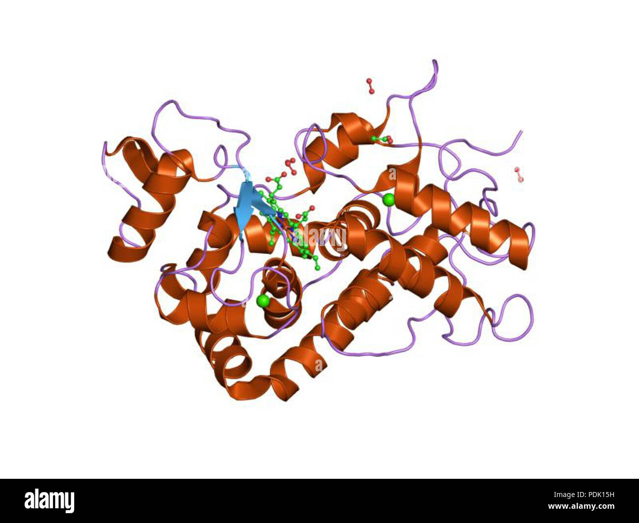46 PDB 1h5i EBI Stock Photo - Alamy