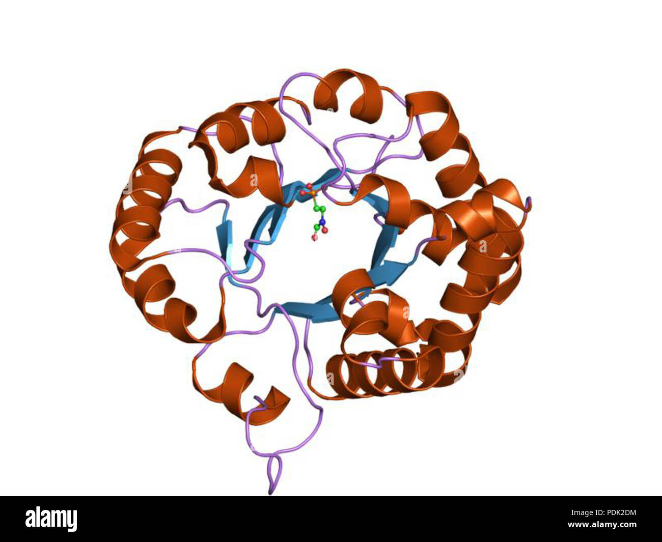 Biophysical experiments hi-res stock photography and images - Alamy