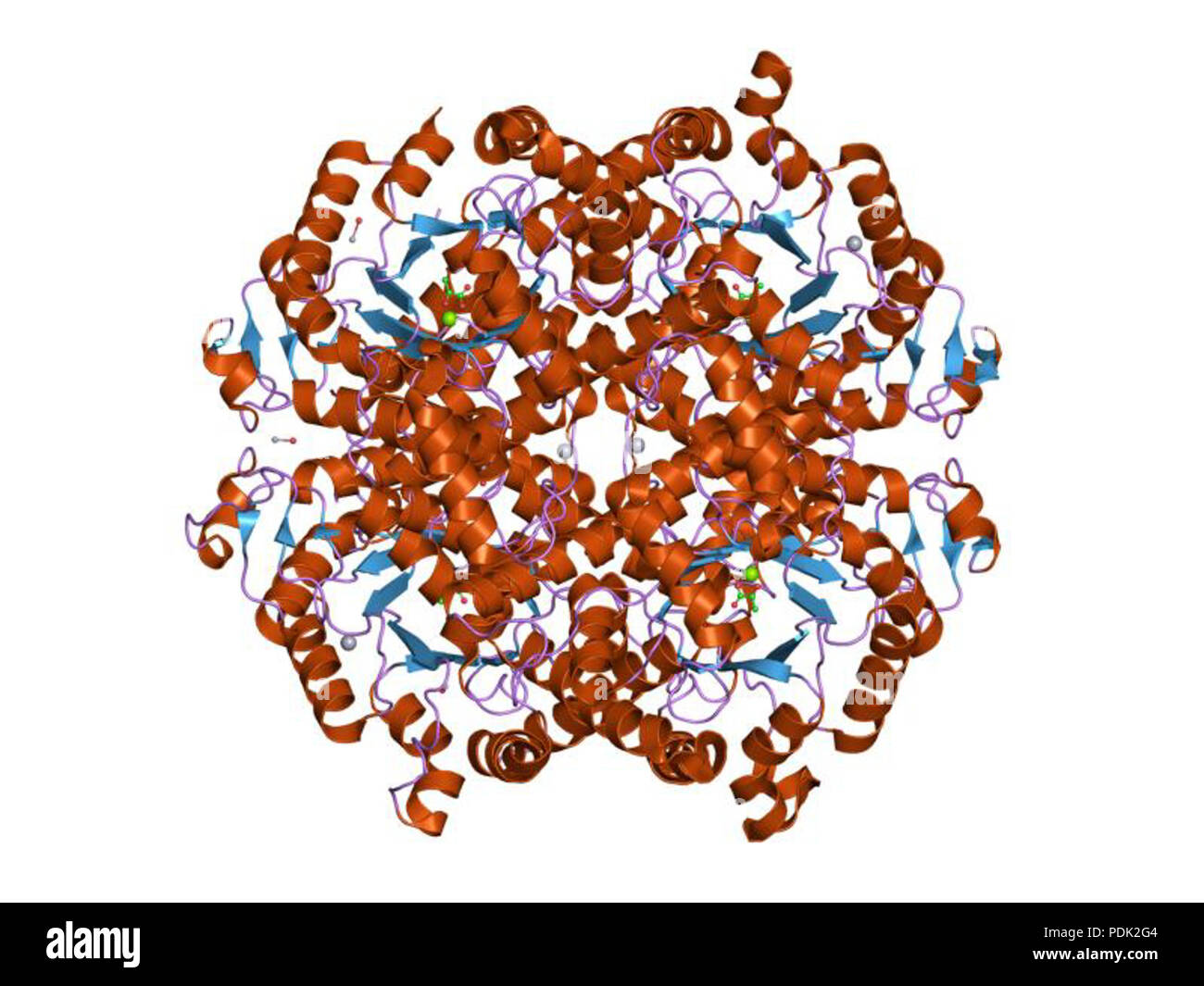 Pdb hi-res stock photography and images - Alamy