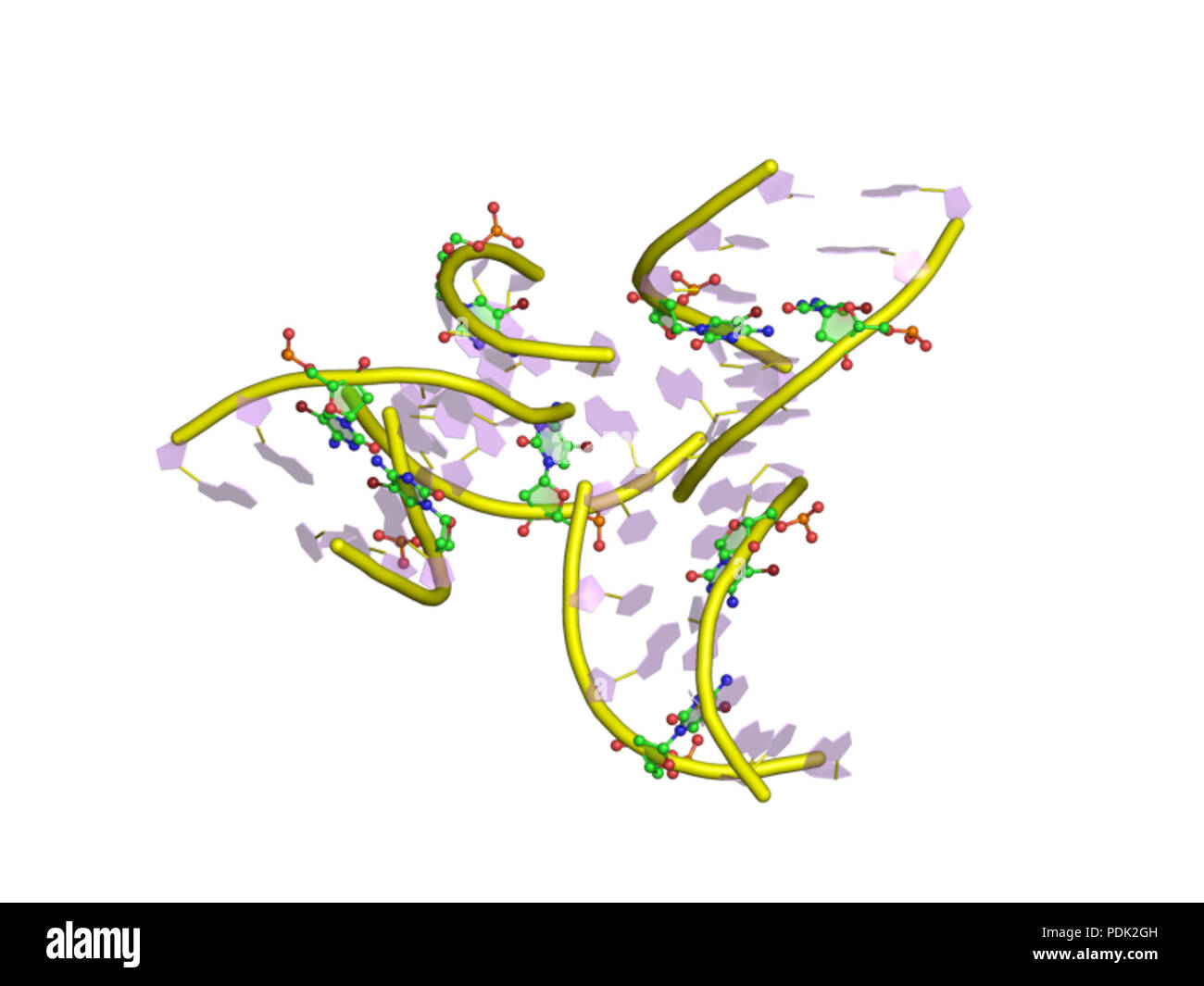 Official materials Cut Out Stock Images & Pictures - Alamy