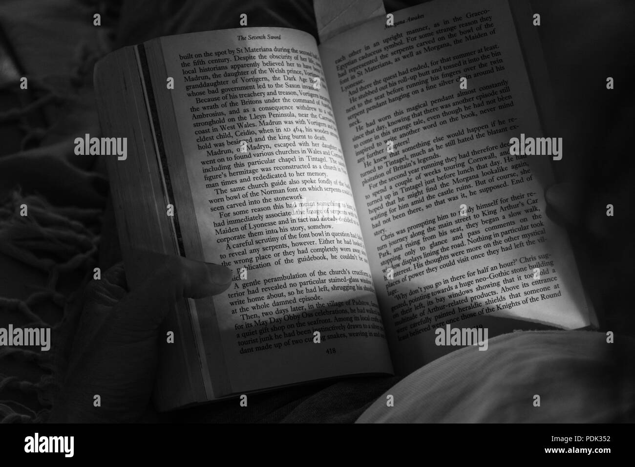 Woman reading The Seventh Sword by Andrew Collins and Graham Phillips ...