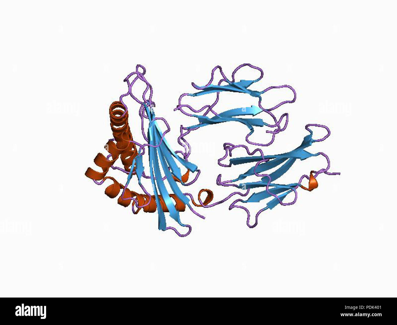 Cell based protein hi-res stock photography and images - Alamy