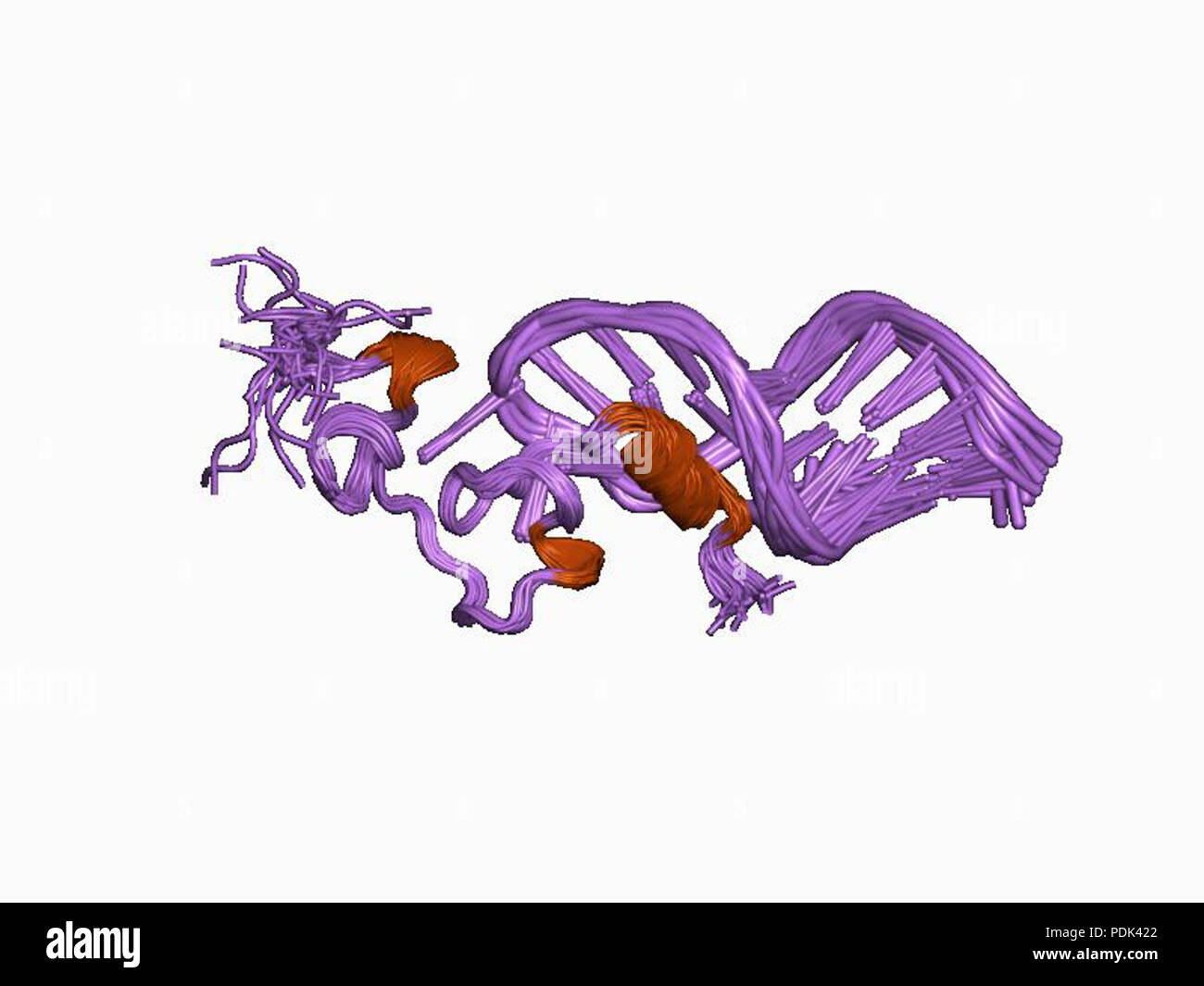 4 PDB 1a1t EBI Stock Photo - Alamy