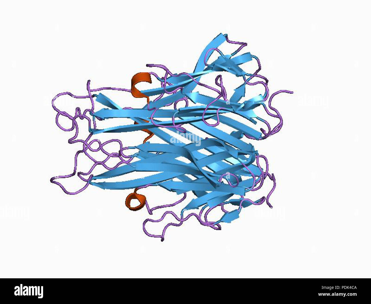 Biophysical experiments hi-res stock photography and images - Alamy