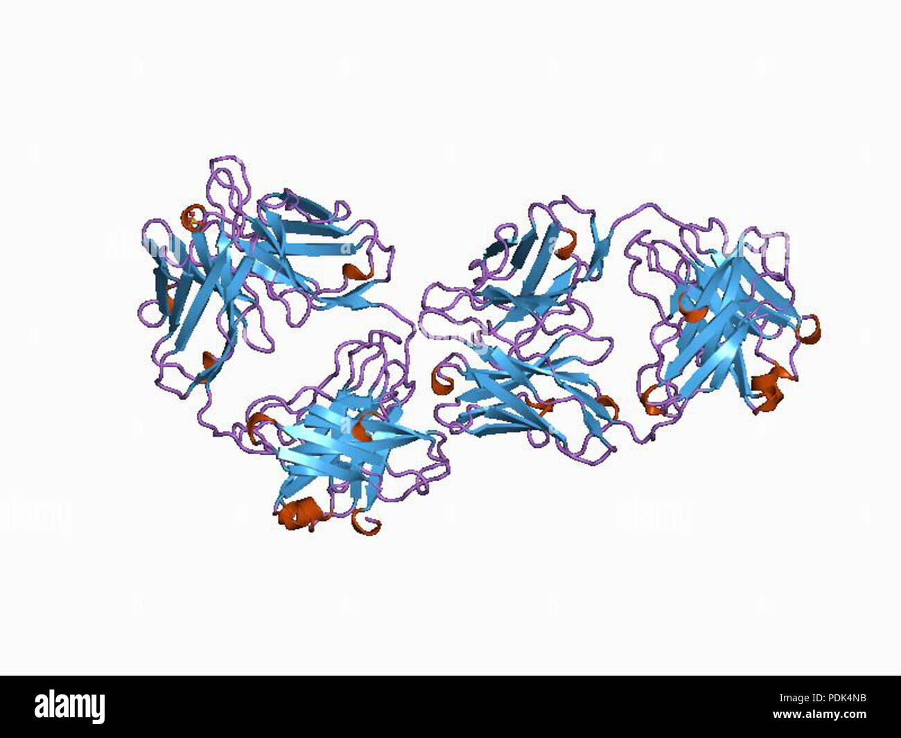Biophysical experiments hi-res stock photography and images - Alamy