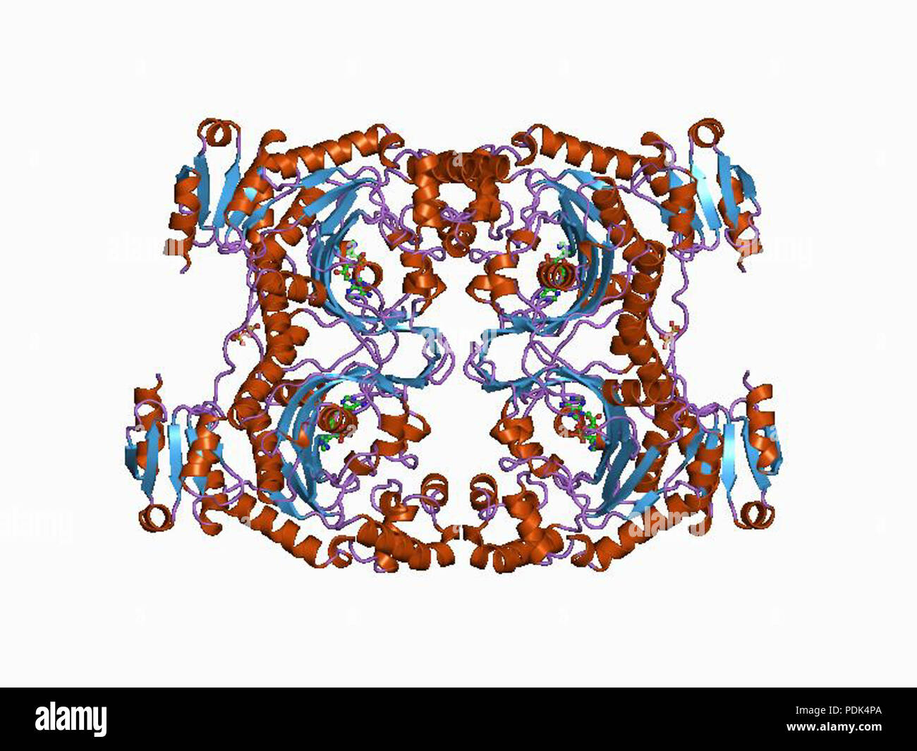 Pdb icon hi-res stock photography and images - Alamy