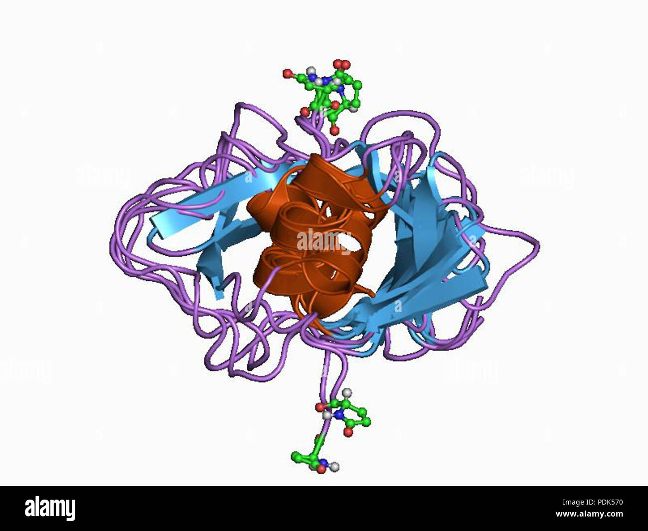 15 PDB 1bus EBI Stock Photo - Alamy