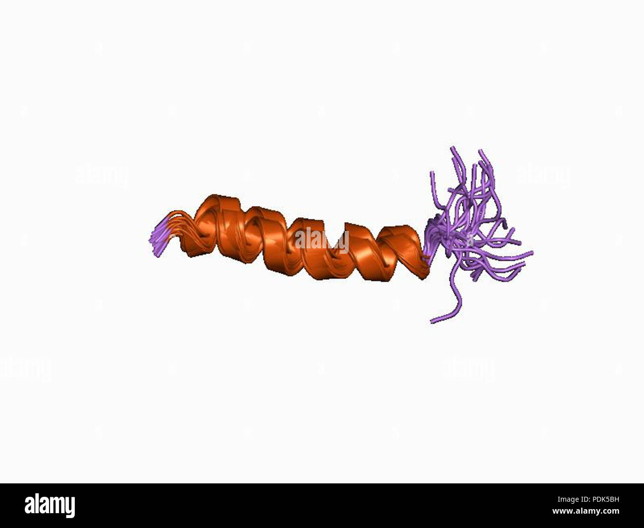 15 PDB 1by0 EBI Stock Photo - Alamy