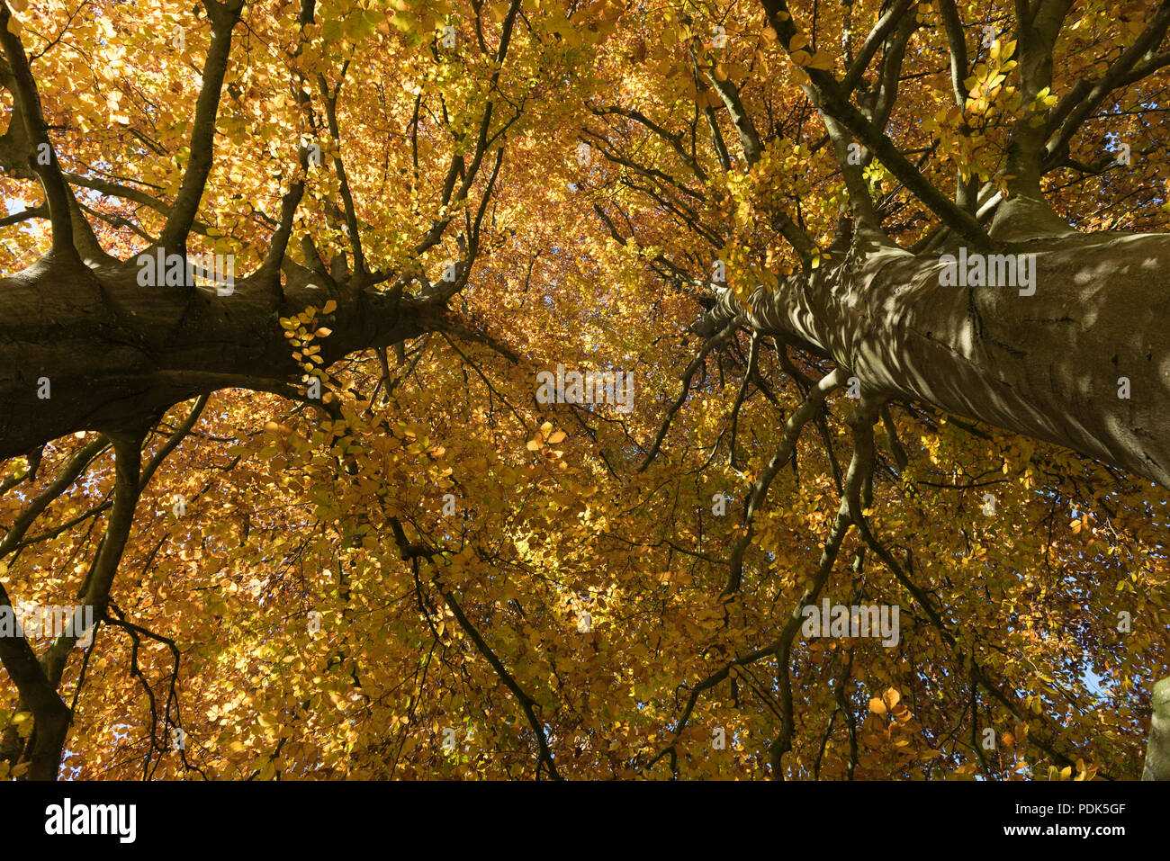 Tunks park hi-res stock photography and images - Alamy