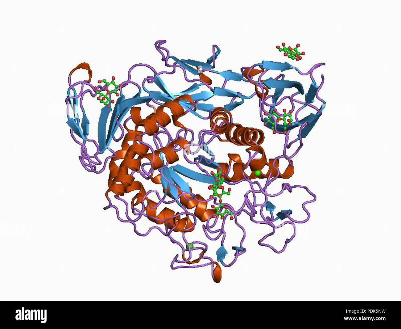 Specific classification number Cut Out Stock Images & Pictures - Alamy