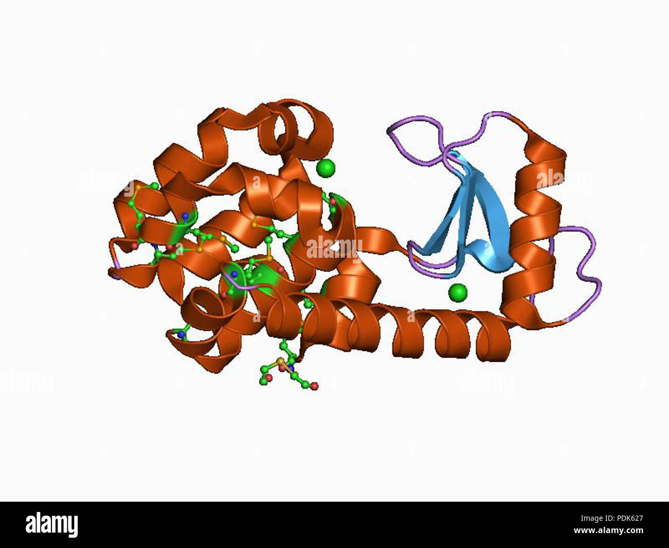 22 PDB 1d3n EBI Stock Photo - Alamy