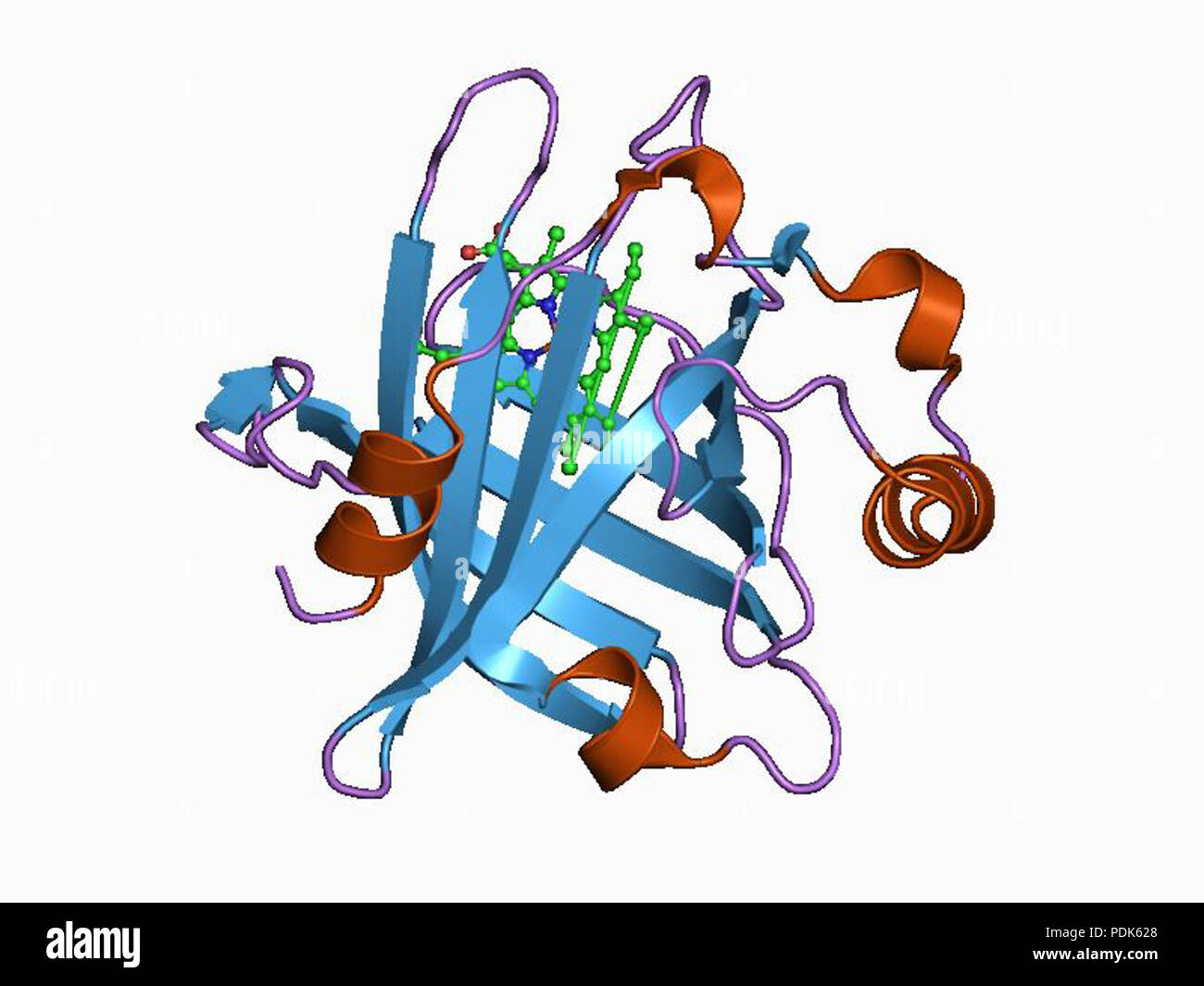 22 PDB 1d3s EBI Stock Photo - Alamy