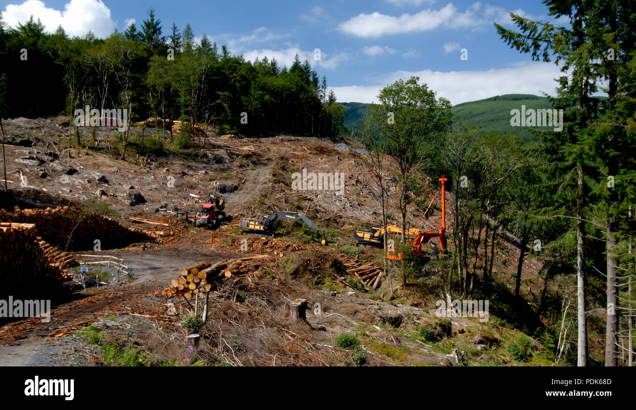 Forestry operations in wales uk hi-res stock photography and images - Alamy