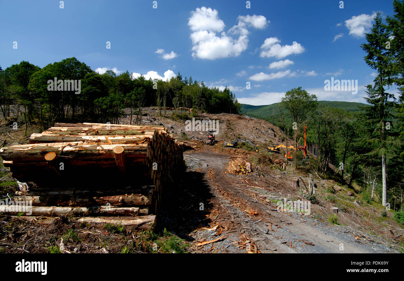 Forestry operations in wales uk hi-res stock photography and images - Alamy