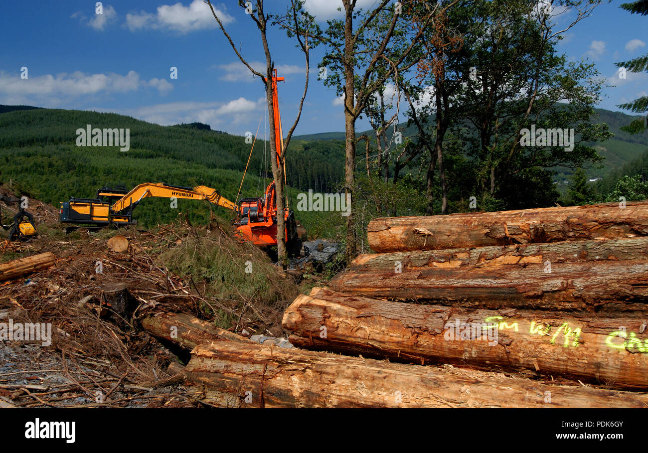 Dyfi forest wales hi-res stock photography and images - Alamy