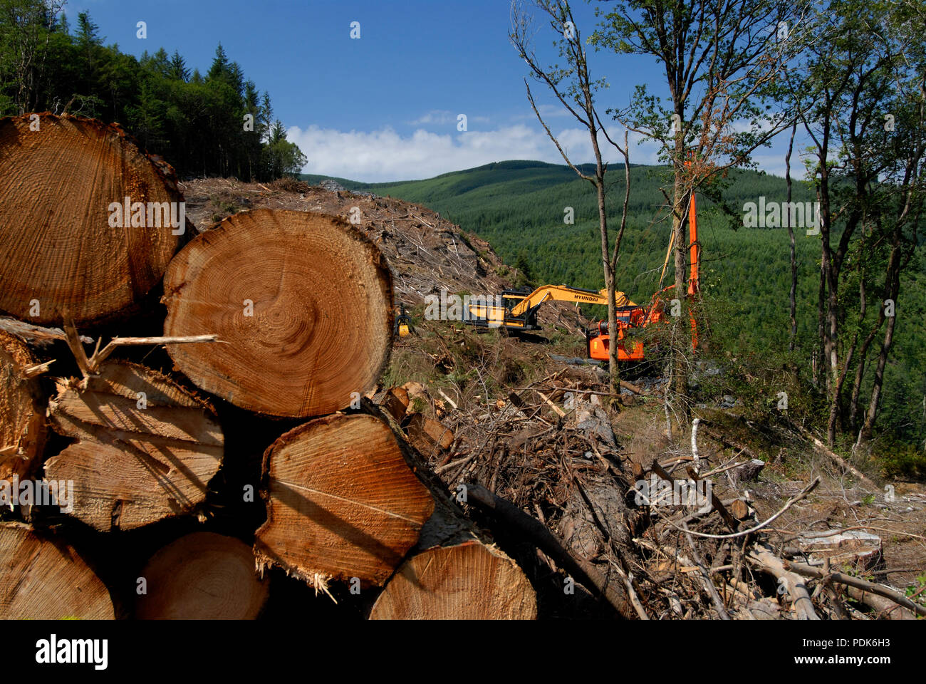Forestry Operations Mid-Wales, Wales UK Stock Photo - Alamy