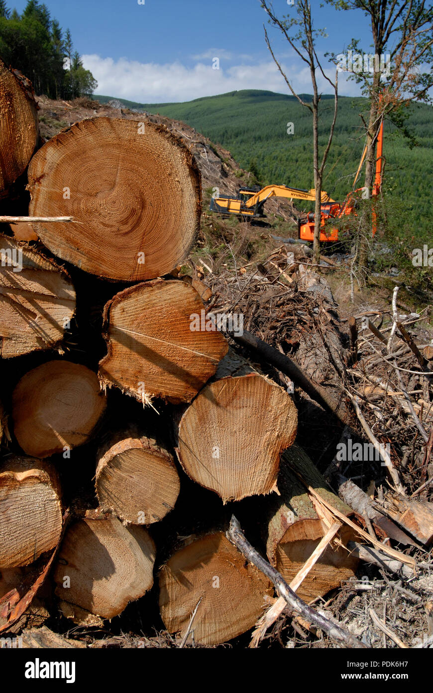 Forestry operations in wales uk hi-res stock photography and images - Alamy