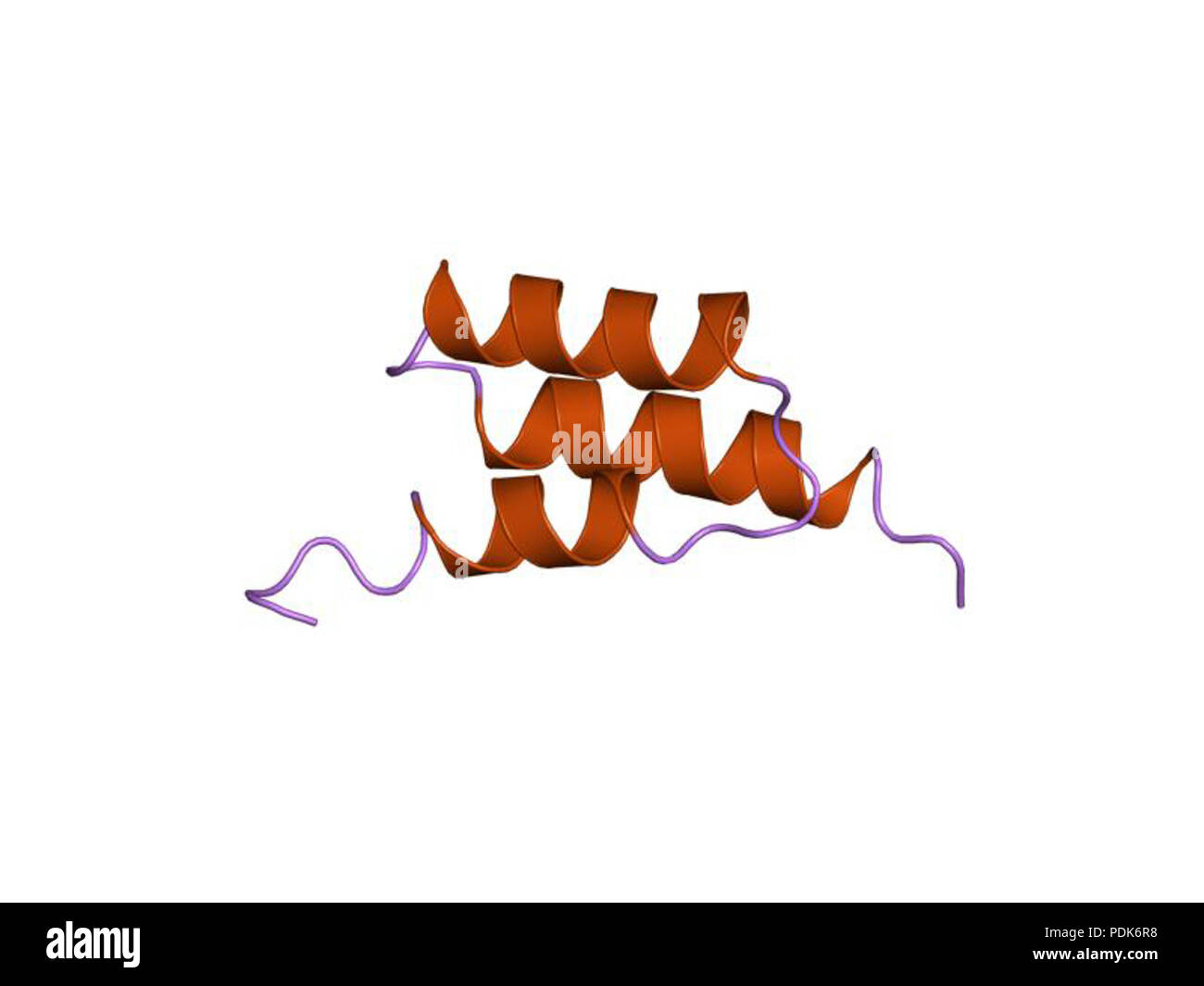 29 PDB 1edi EBI Stock Photo - Alamy