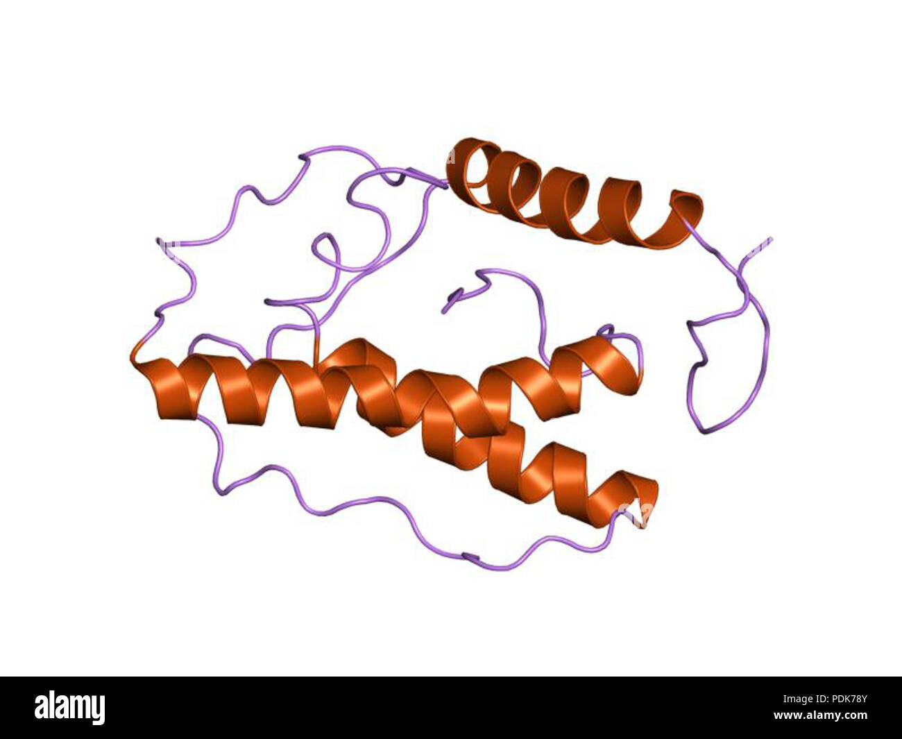 Complex cellular structure hi-res stock photography and images - Alamy