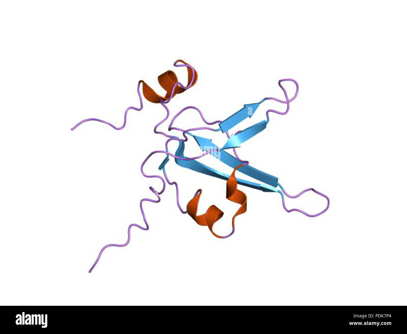 32 PDB 1ewi EBI Stock Photo - Alamy