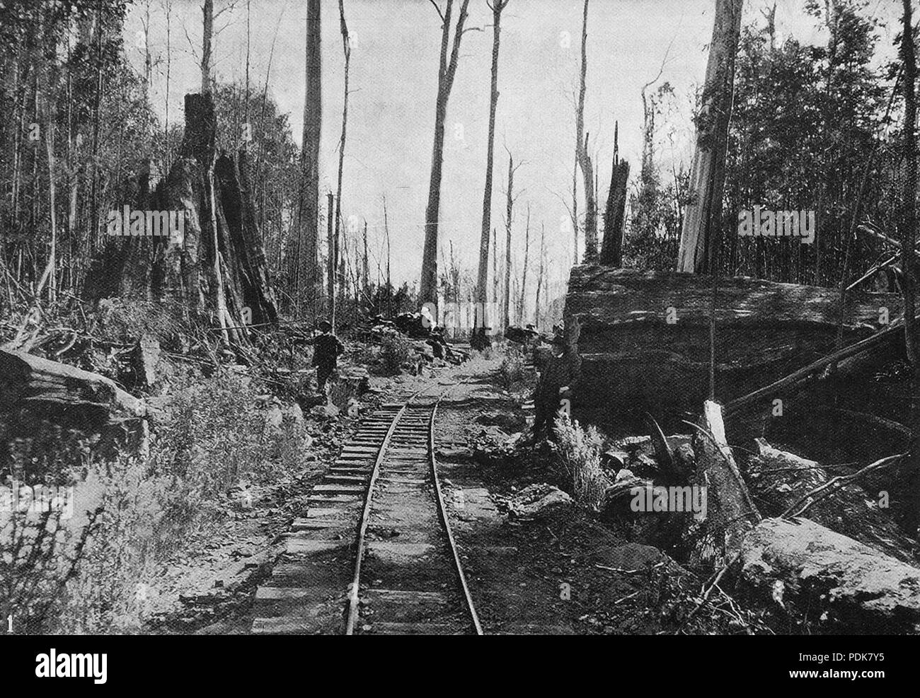 128 Sandfly Colliery Tramway, 1907 02 02 Insert 2a (14217019070 Stock ...