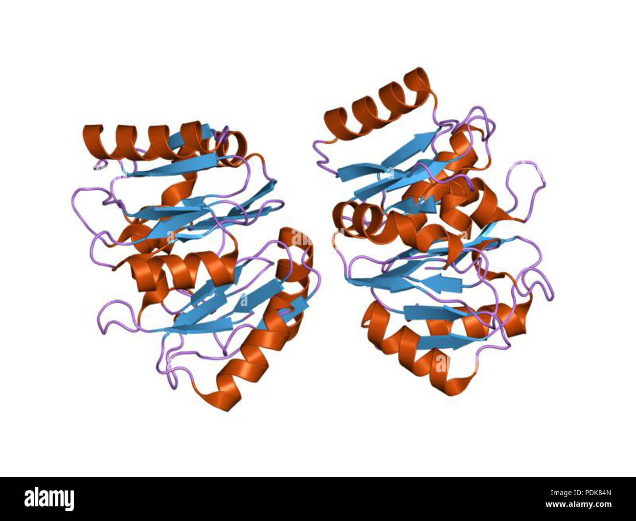40 PDB 1g61 EBI Stock Photo - Alamy