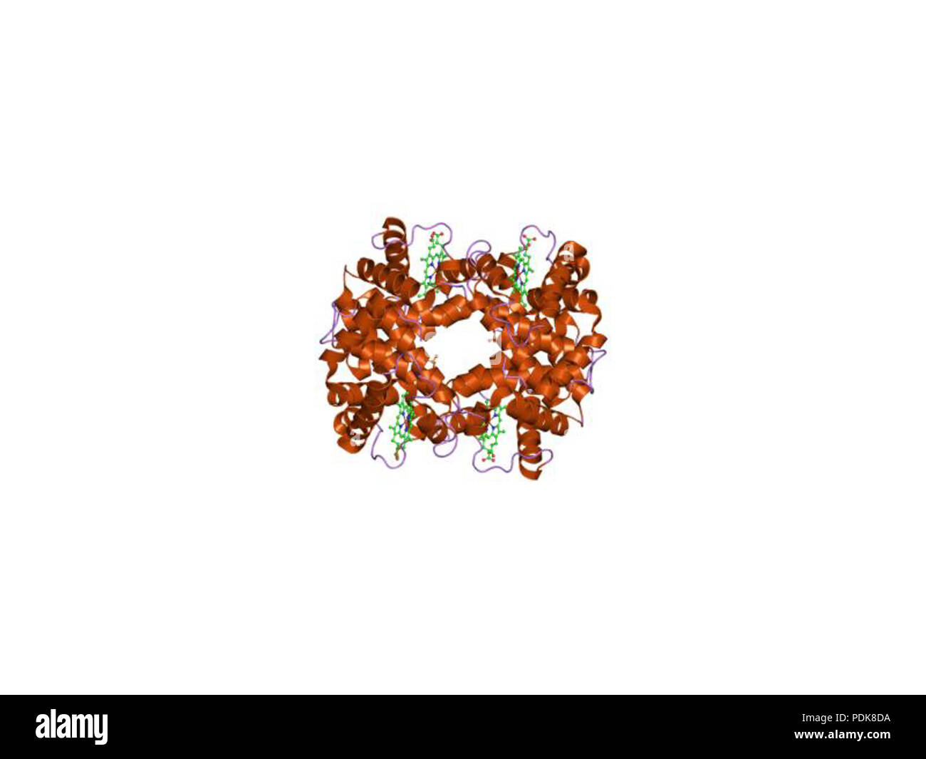 Archival scientific drawings hi-res stock photography and images - Alamy