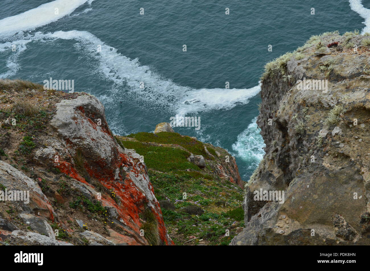 Point Reyes Seashore Stock Photo - Alamy