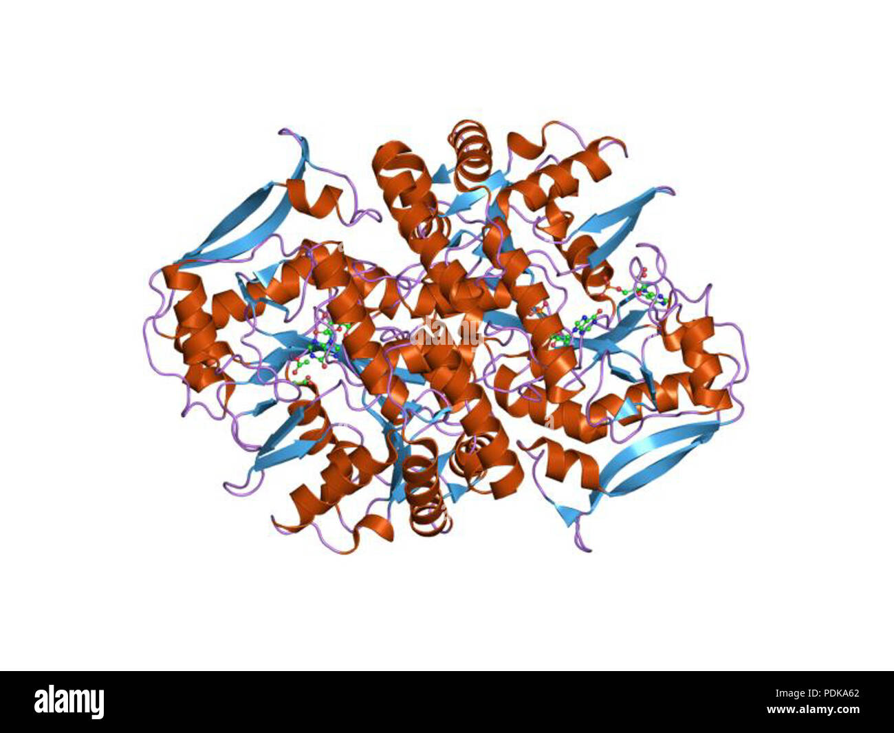 56 PDB 1iwe EBI Stock Photo - Alamy