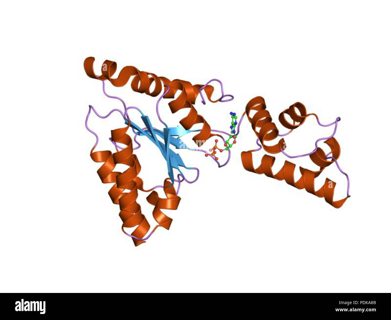 Atpase crystal structure hi-res stock photography and images - Alamy