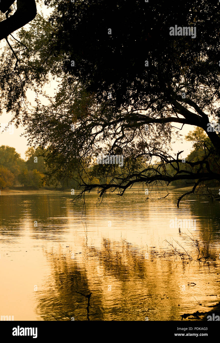 Mana Pools National Park, Zimbabwe Stock Photo - Alamy