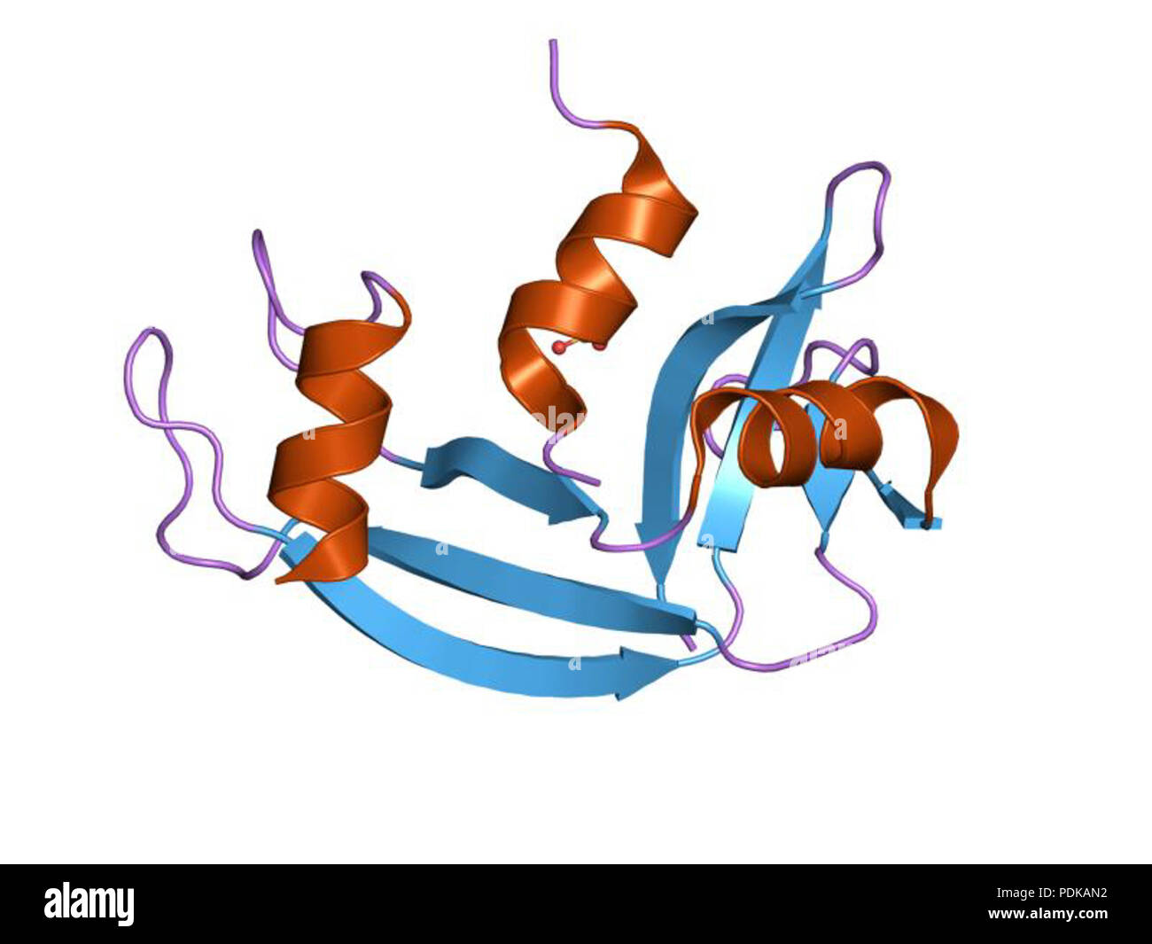 At 58 Cut Out Stock Images & Pictures - Alamy