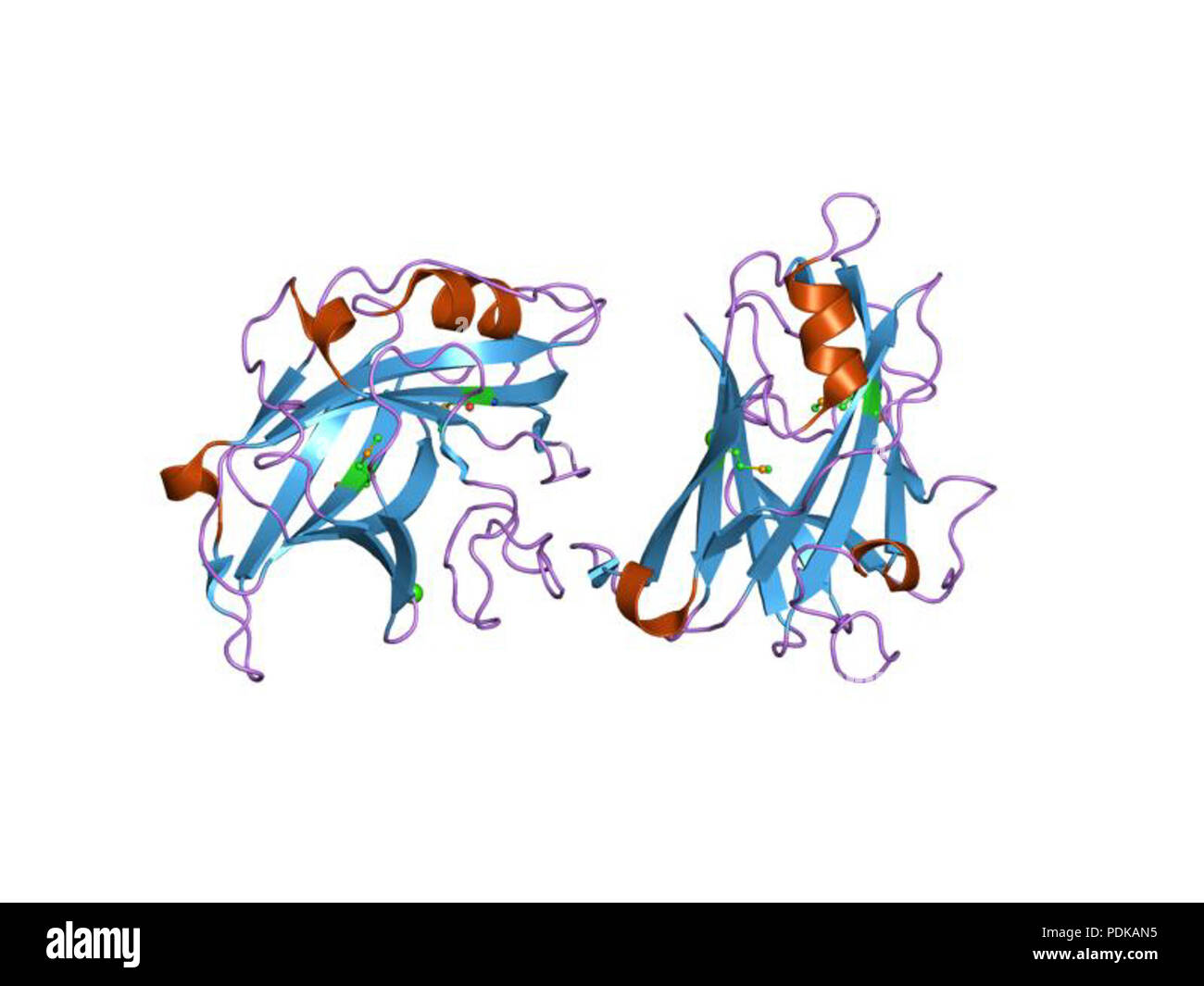 Specimen list hi-res stock photography and images - Alamy