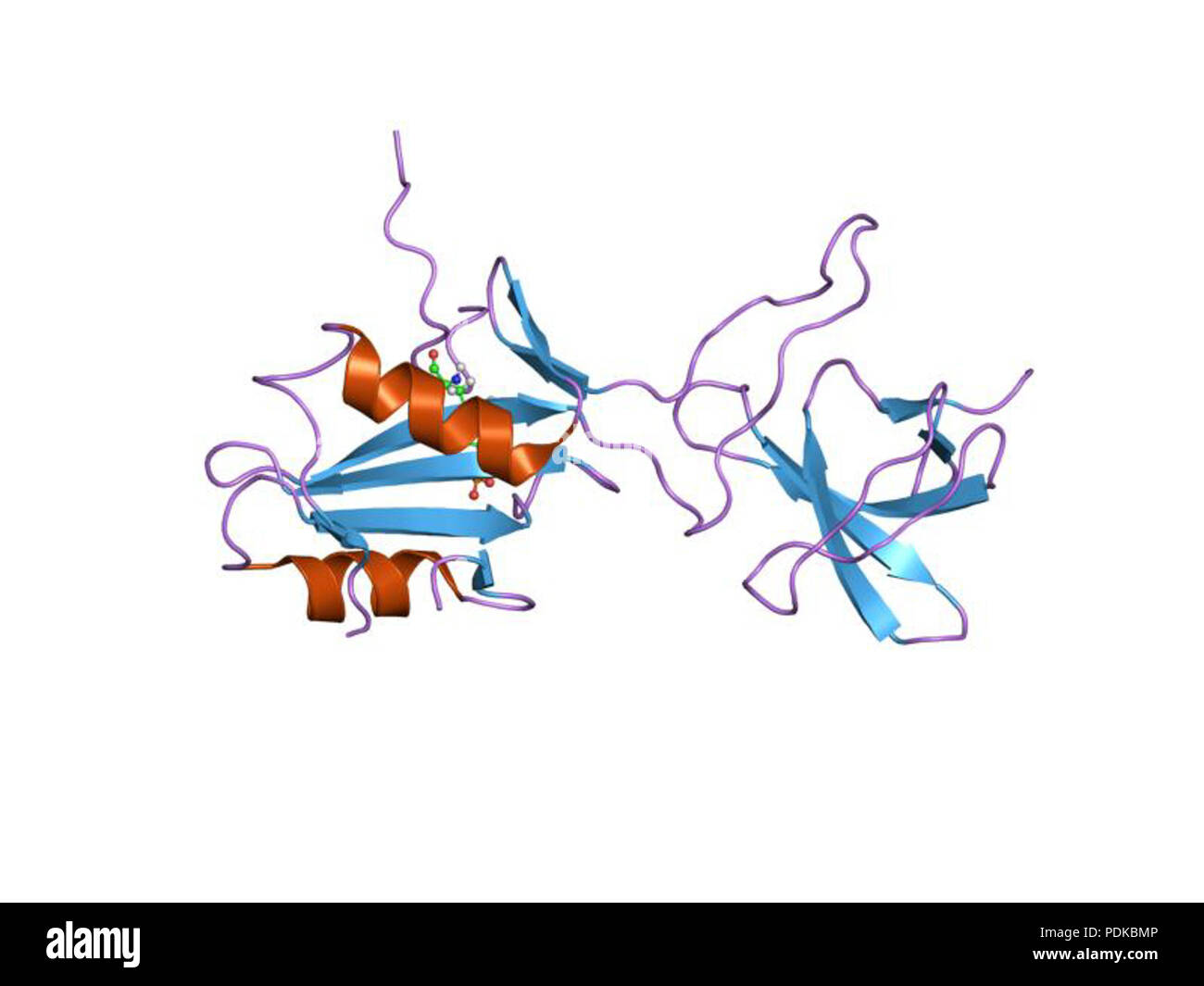 61 PDB 1ju5 EBI Stock Photo - Alamy