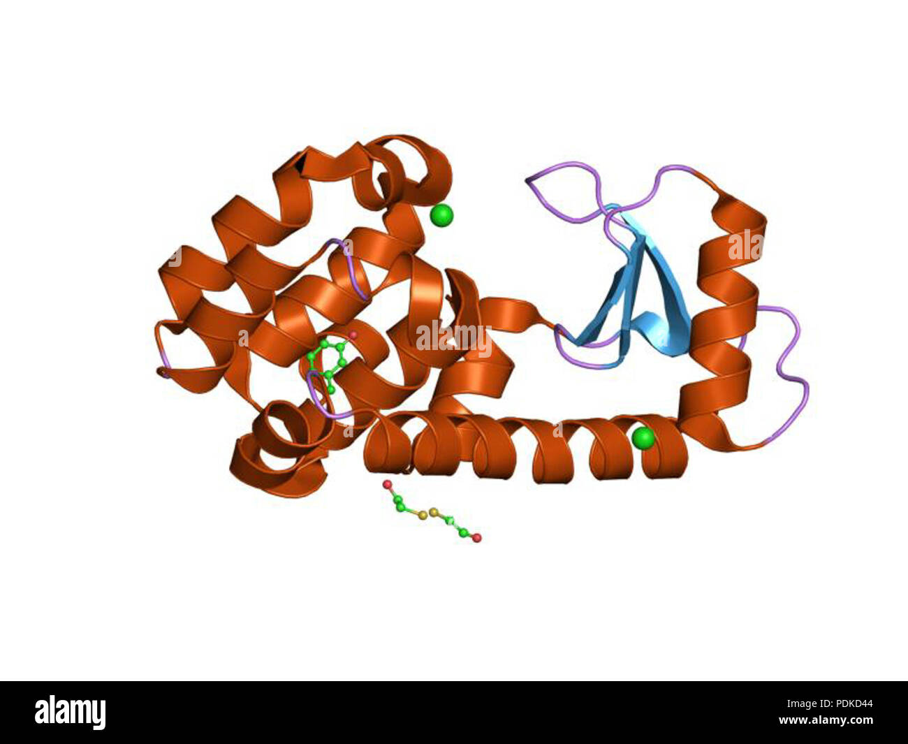 71 PDB 1li3 EBI Stock Photo - Alamy