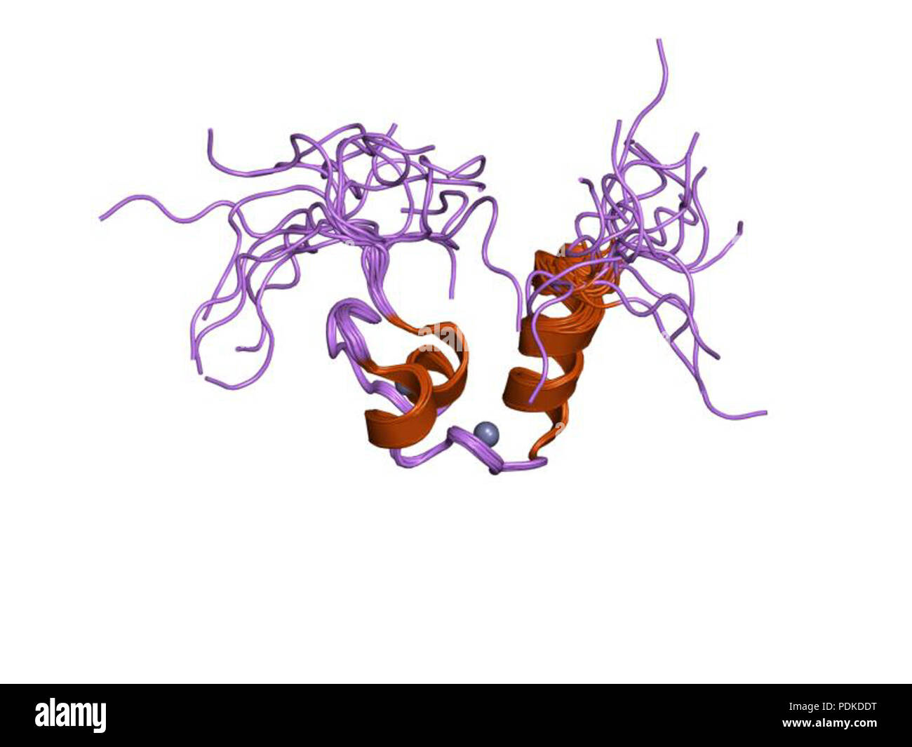 Imaging interpretation Cut Out Stock Images & Pictures - Alamy