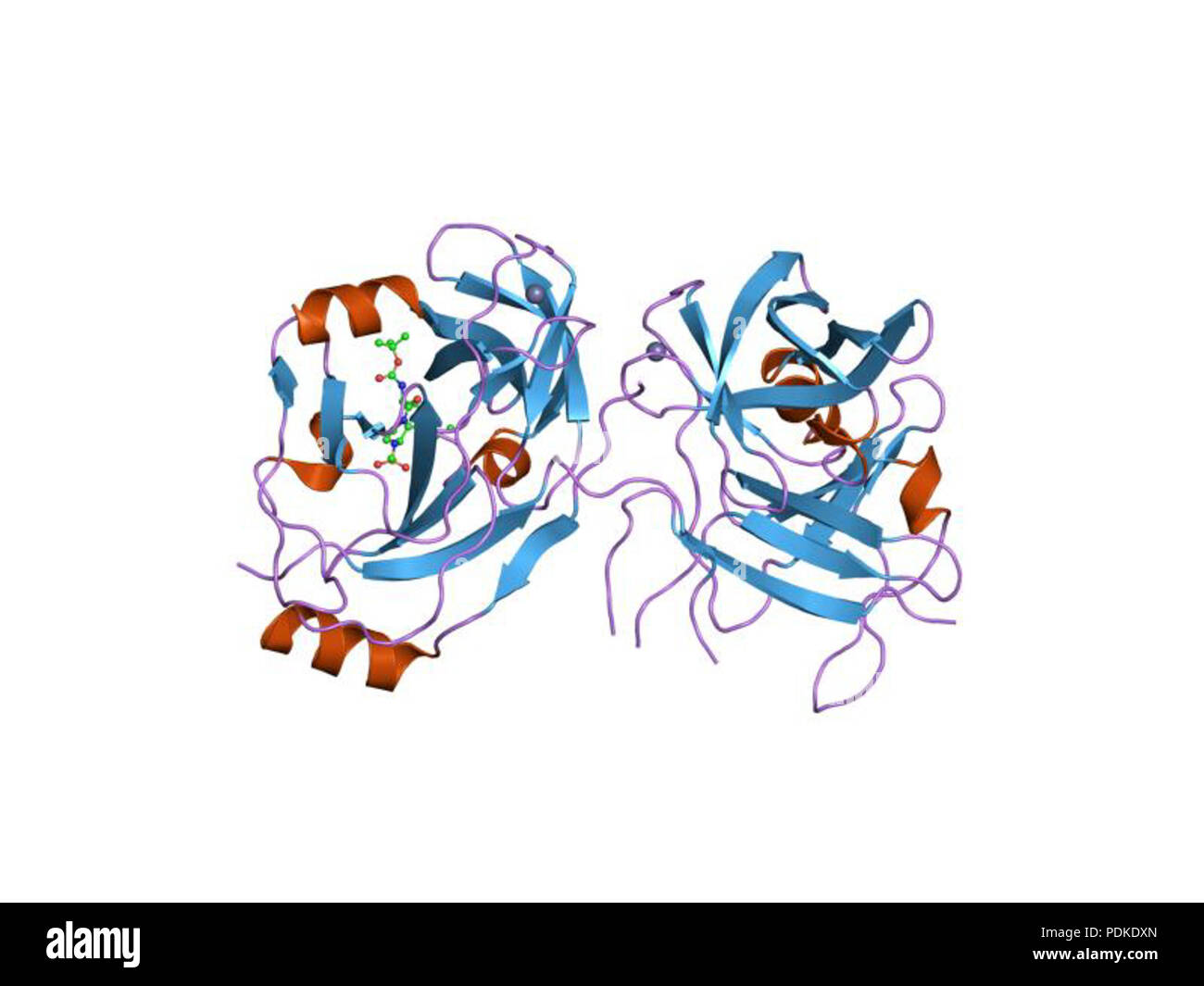 80 PDB 1n1l EBI Stock Photo - Alamy