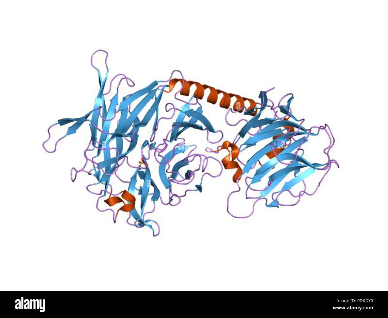 Projects execution Cut Out Stock Images & Pictures - Alamy