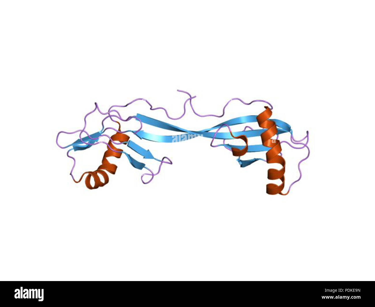 Number 81 Cut Out Stock Images & Pictures - Alamy