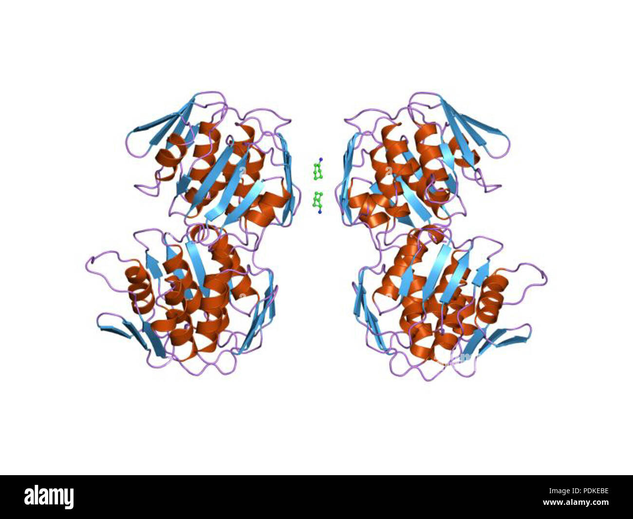 Structural imaging hi-res stock photography and images - Alamy