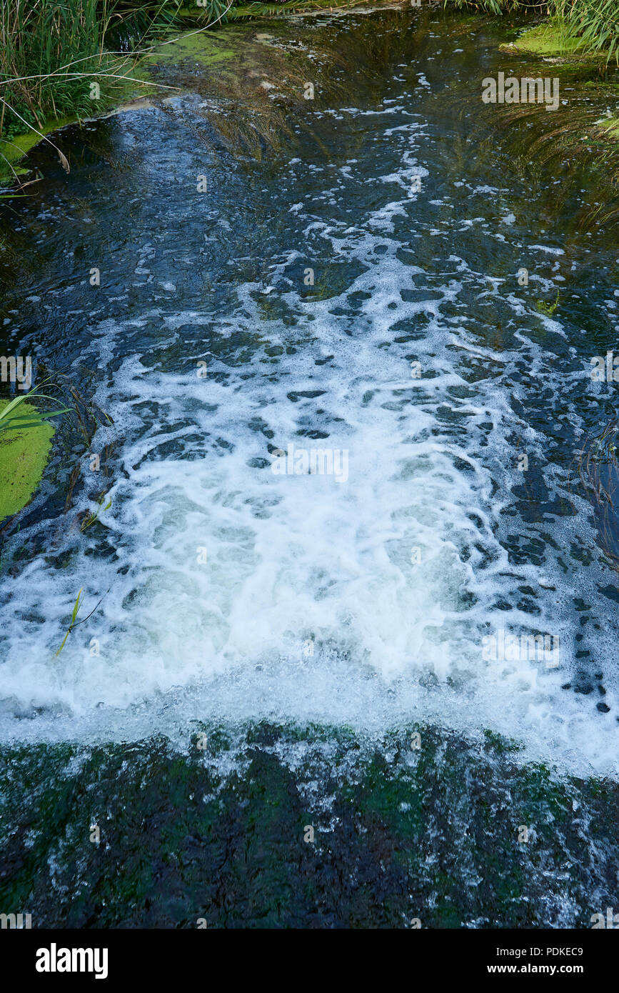 Fast flow of water with foam and algae Stock Photo - Alamy